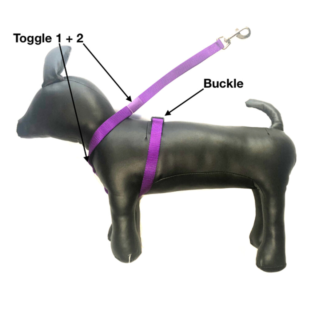 Table Harness Happy Noose / Strap | groomers world